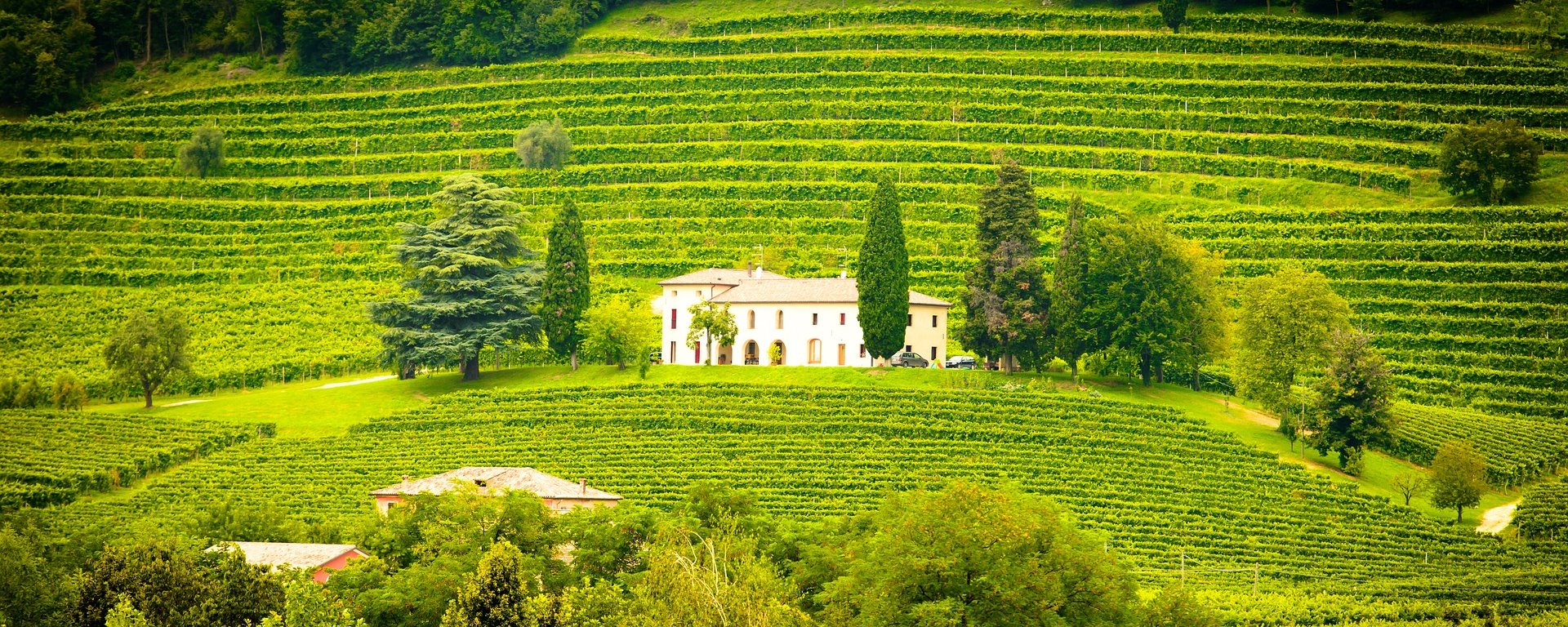 Luxury Vineyard Hotels | Exclusive Vineyard Resorts