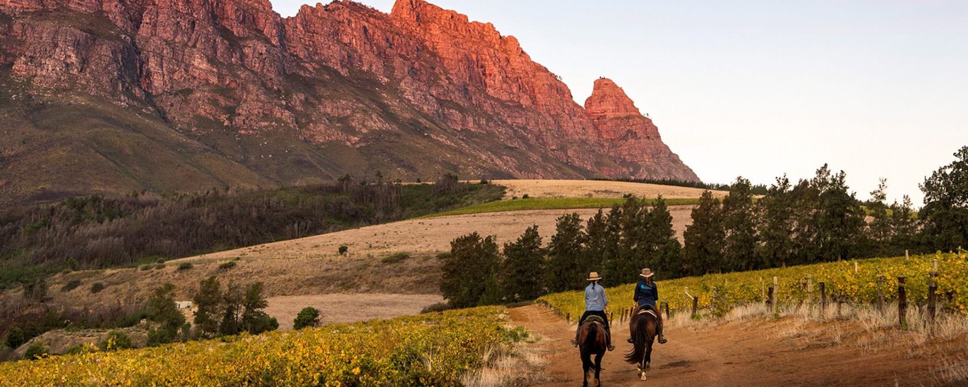 Luxury Vineyard Hotels | Exclusive Vineyard Resorts