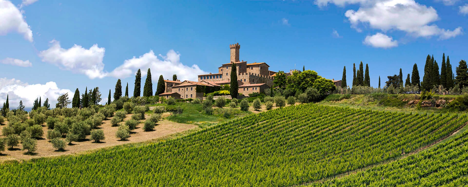 Luxury Vineyard Hotels | Exclusive Vineyard Resorts